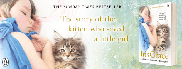 Iris Grace Painting – Art Prints, Original Paintings, a Best Selling ...