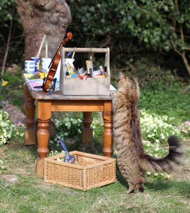 Somatic Therapy Exercises for Stress Reduction and Body Awareness ...