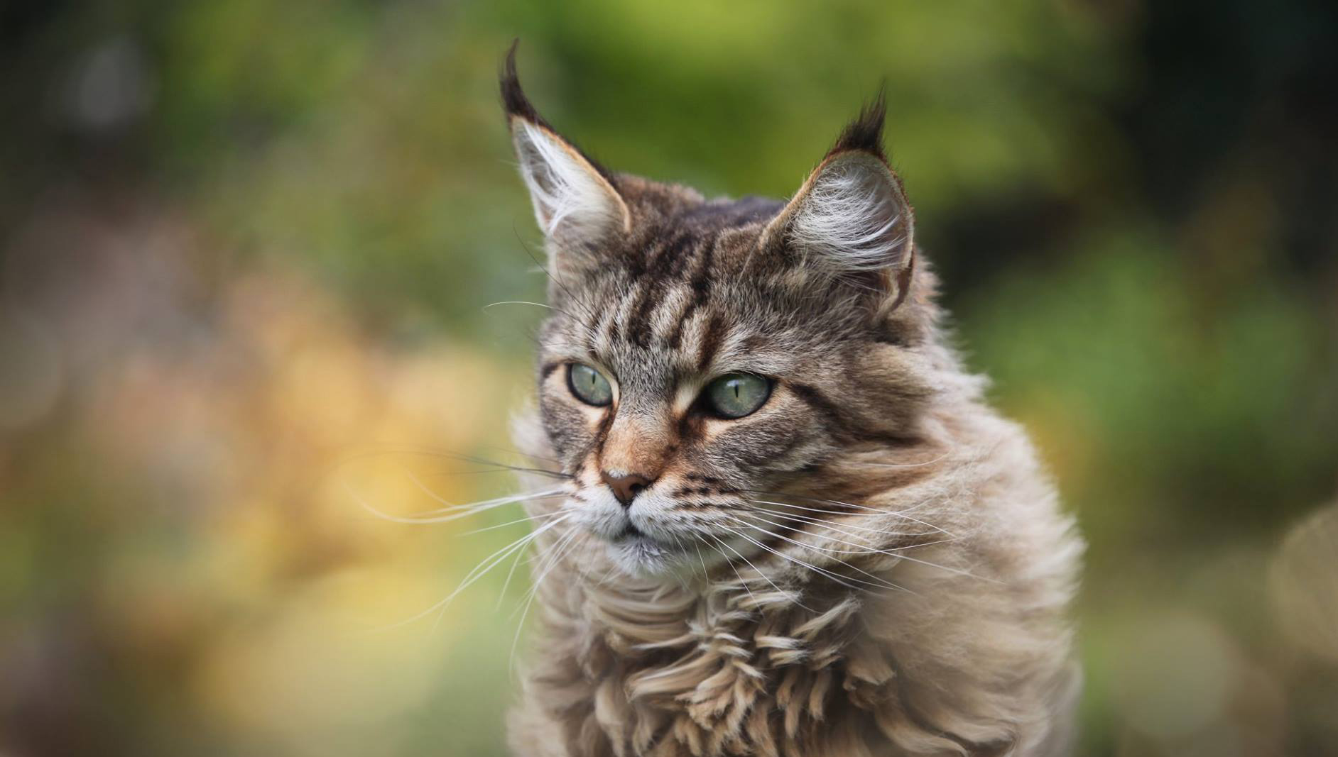 Somatic Therapy Exercises for Stress Reduction and Body Awareness – Iris Grace Painting